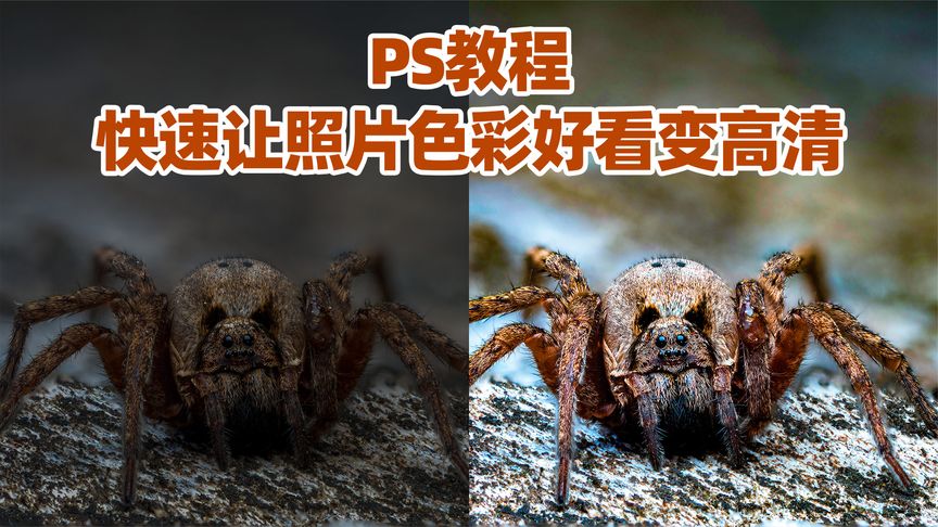 照片清晰度太差?PS教程:快速让照片色彩好看变高清!