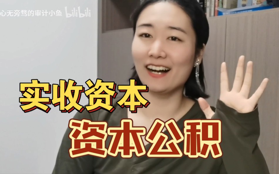 【会计、审计小白】实收资本、资本公积权益类科目