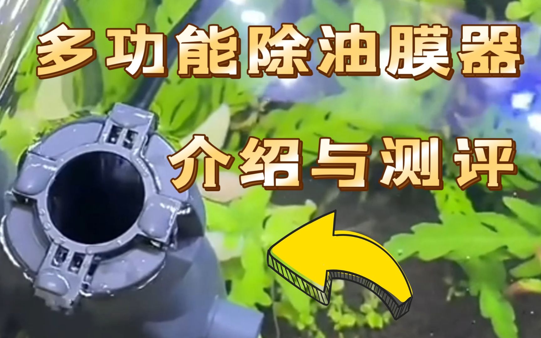 鱼缸水面有油膜怎么办?除油膜神器5分钟解决你的烦恼!养鱼养龟好帮手!
