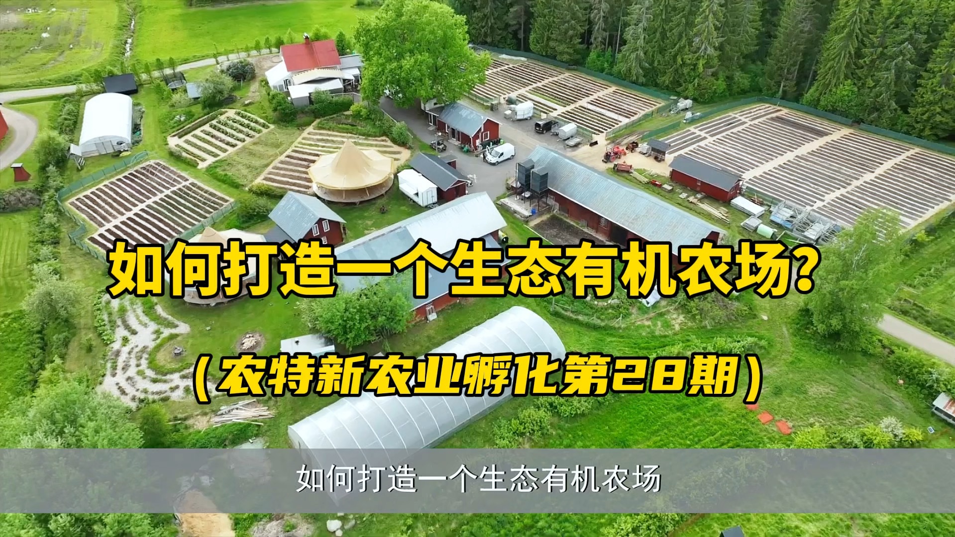 如何打造一个生态有机农场?国内有没有一套成熟的技术,哪里能学?