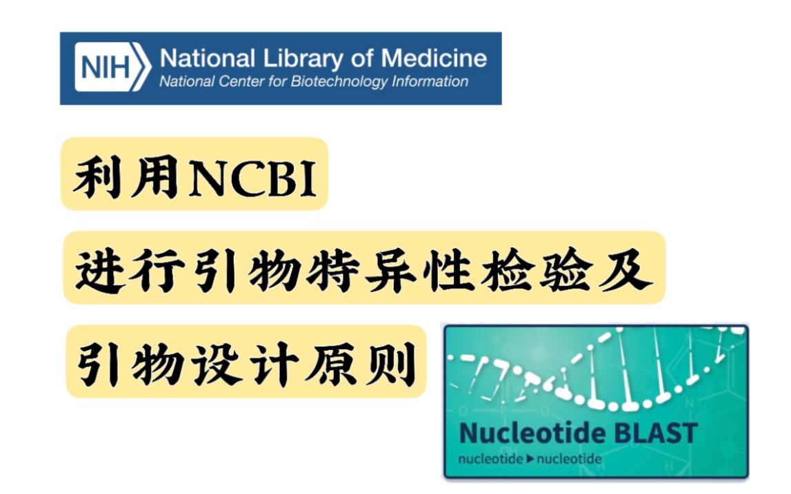 利用NCBI进行引物特异性检验,以及引物设计原则、引物修饰等