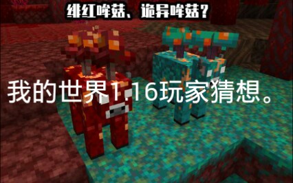 我的世界1.16创意主题。