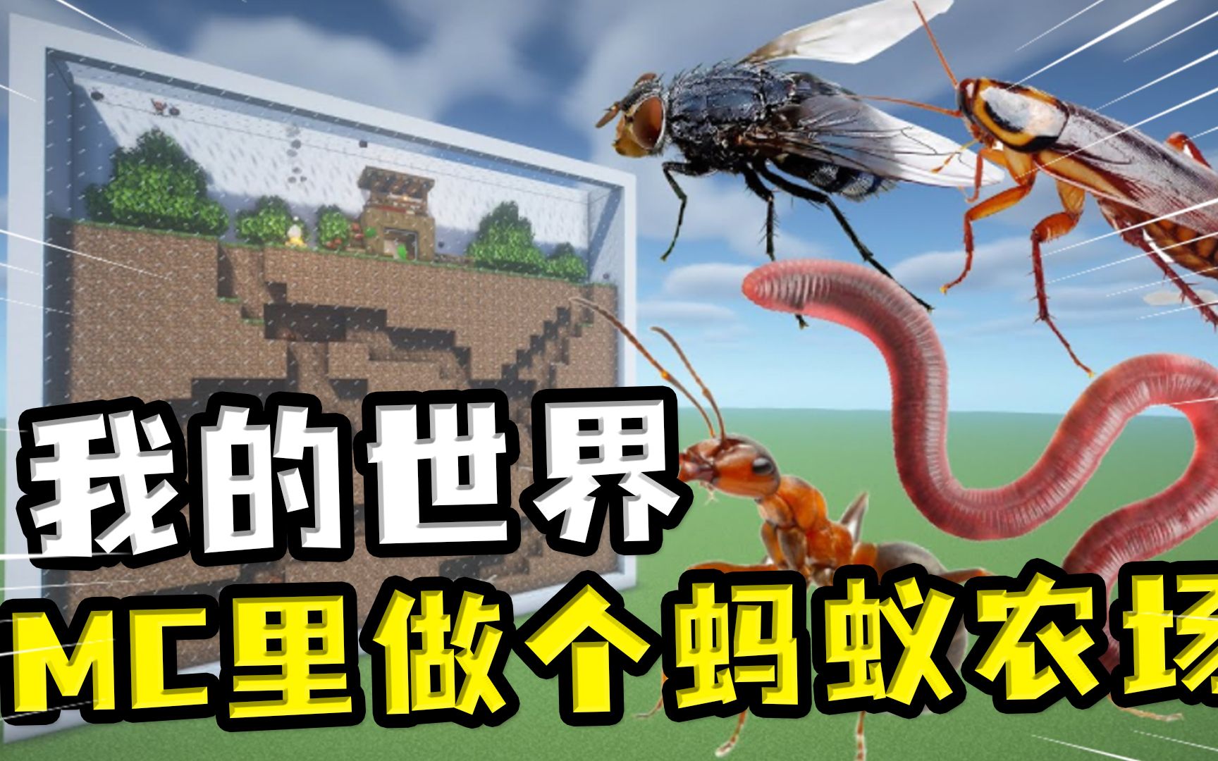我的世界:儿时的蚂蚁农场?最受欢迎的童年礼物,和蚂蚁住在一起