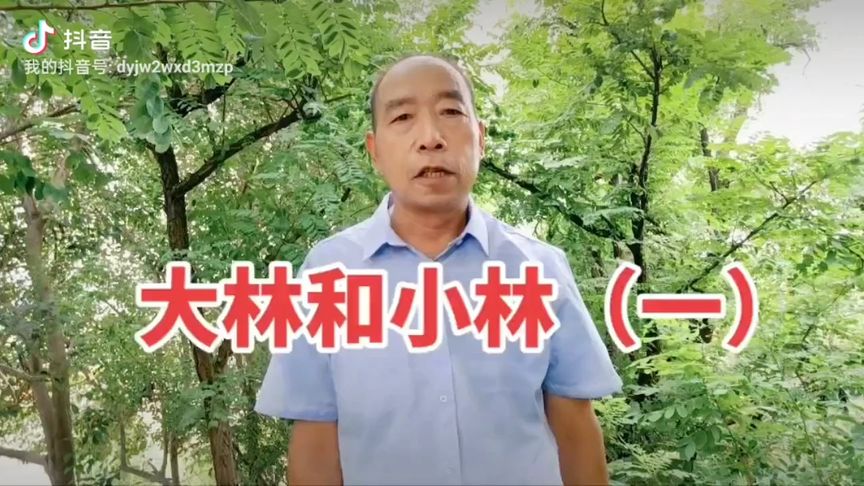 大林和小林(一)
