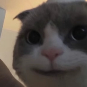 瓜老板想要暴富 