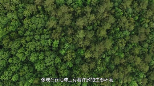 假如地球上的沙漠都变成森林,会有什么后果?很多人看完都不信?