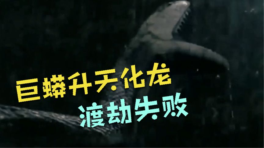 95年安徽巨蟒渡劫事件,升天化龙失败被劈成粉末?