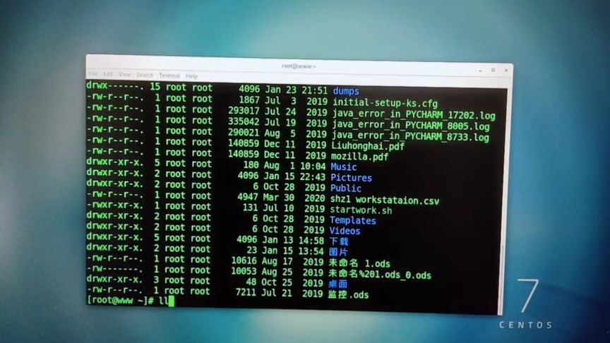 演示Linux的文件和文件夹操作命令