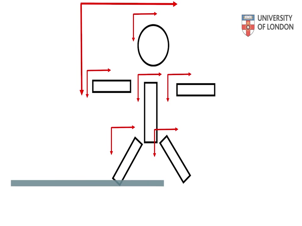 3D Models for Virtual Reality