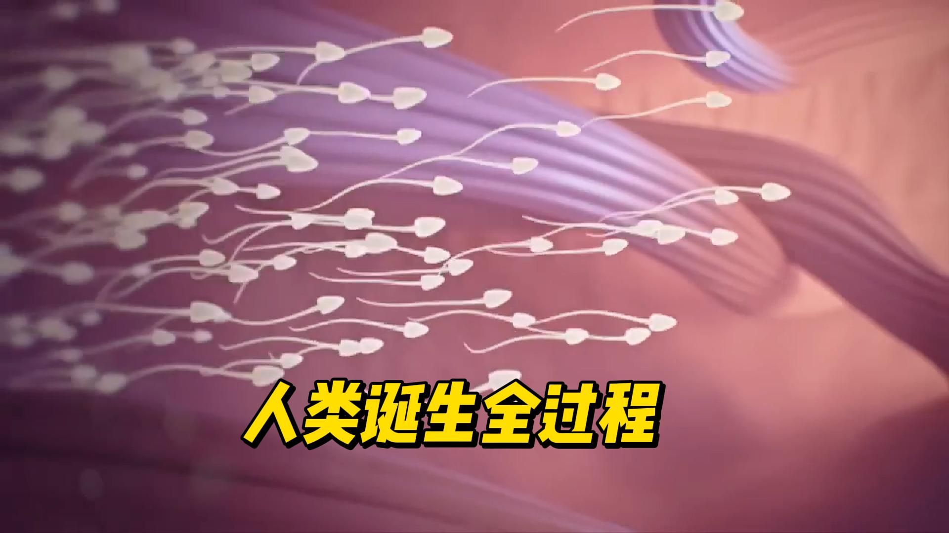 你从小蝌蚪到人克服哪些障碍?下面是你诞生全过程,人类生命旅程真的...