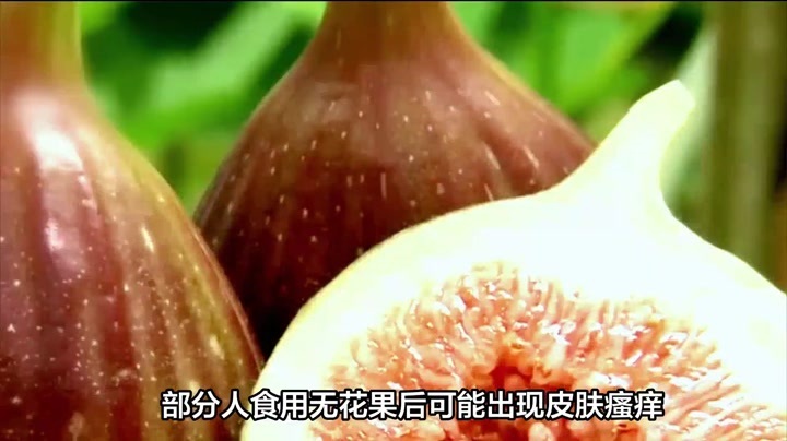 在吃无花果的同时,无花果也在吃我们?原来吃无花果有禁忌!