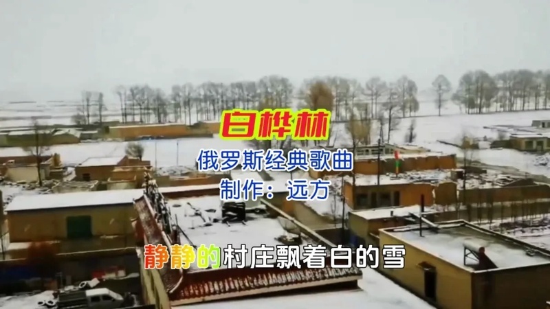 《白桦林》唯美旋律,演绎深情眷恋,感受纯爱与忧伤交织
