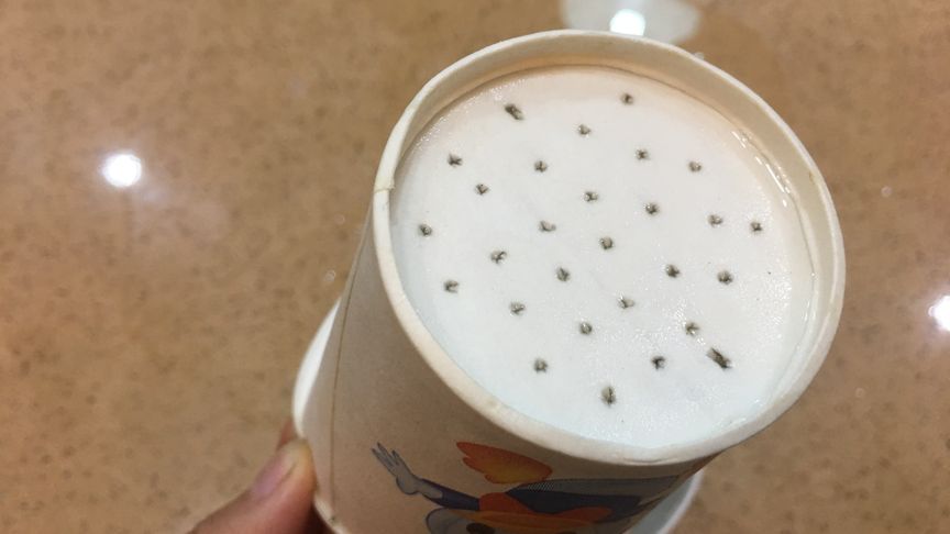 一次性杯子戳几个孔,家里来客人了拿给他,这个用处大家都夸好