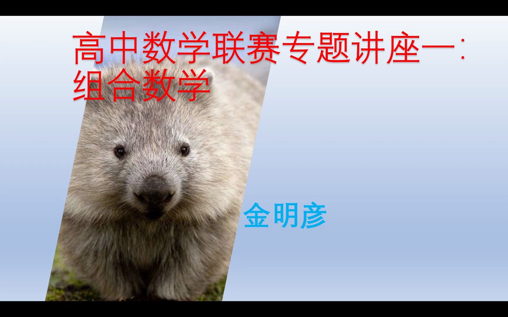 高中数学联赛专题讲座(一)组合数学