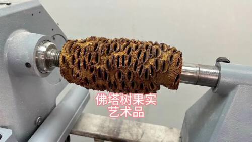 一颗满目疮痍的佛塔树果实却被伙造成价值不菲的艺术品真牛