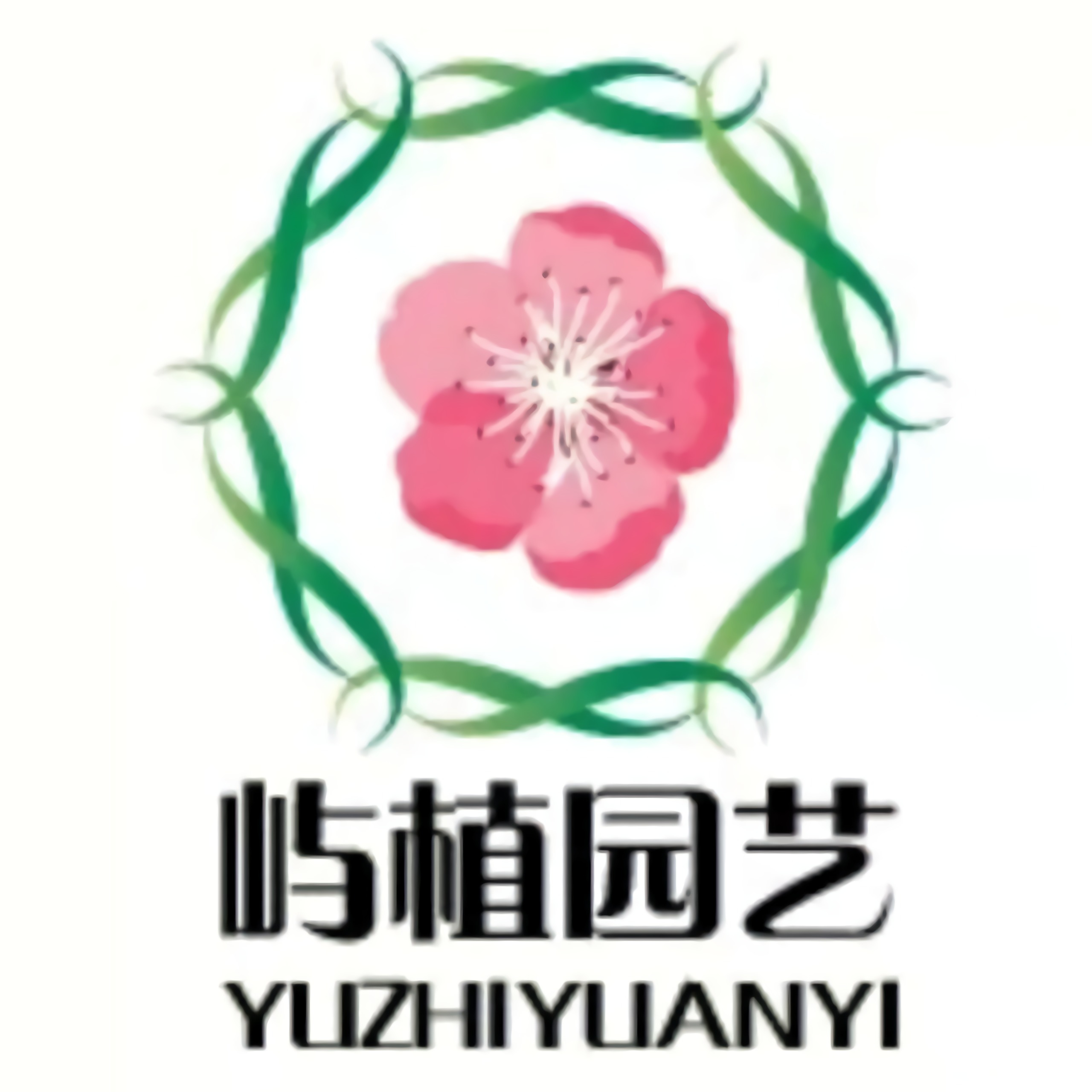 屿植的园艺生活 