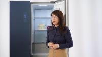 容声冰箱生熟T型603介绍
