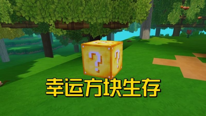 迷你世界:幸运方块生存,开10个都破玩意