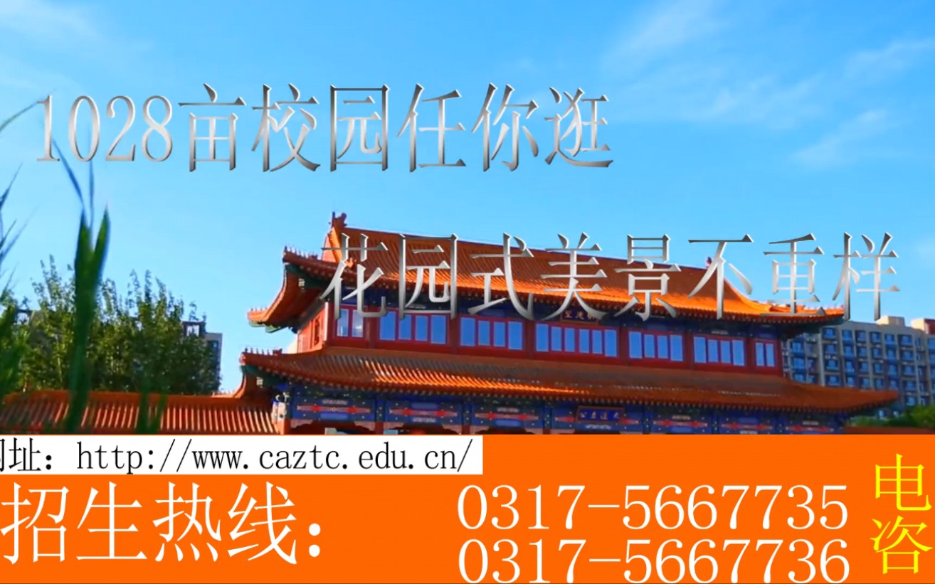 招生宣传哪家强,沧州师范学院当仁不让!