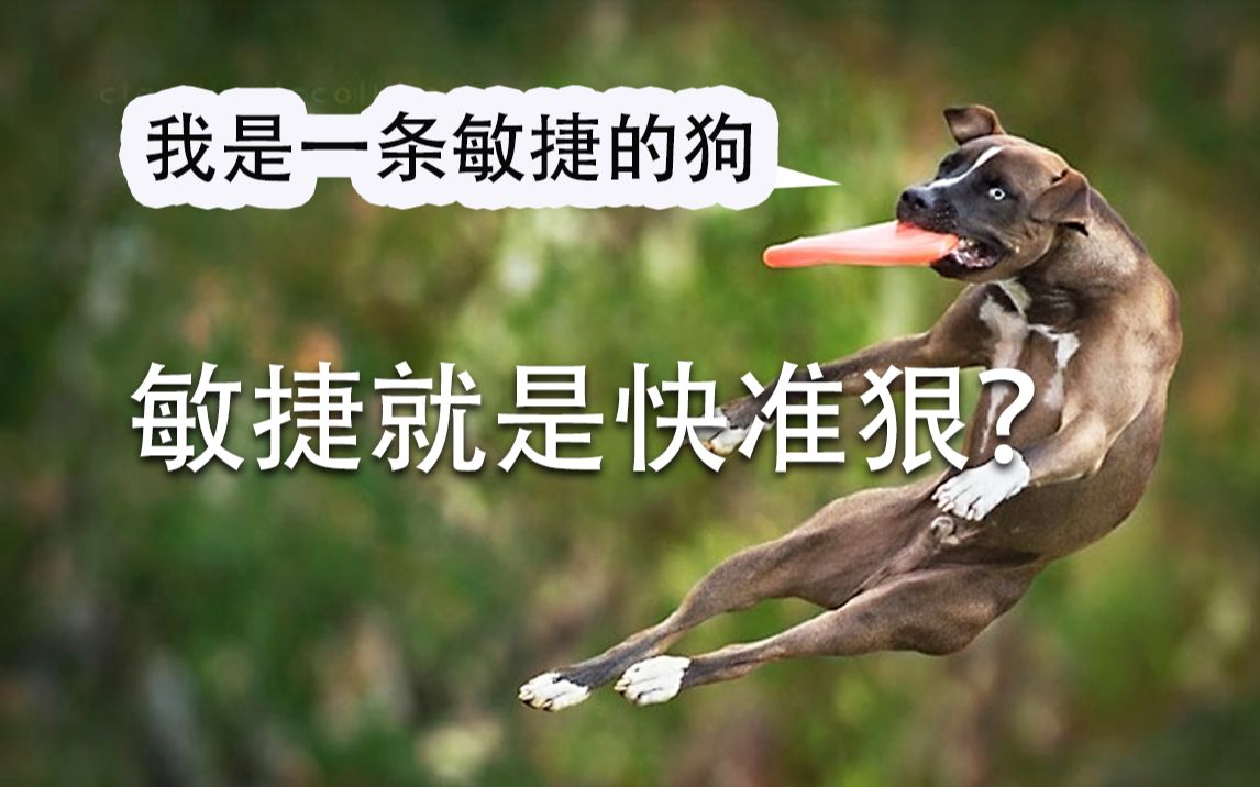 敏捷项目管理是什么鬼?
