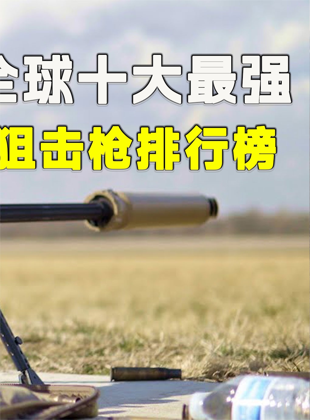 全球十大高精度狙击枪排行榜,千里以外一枪爆头,.