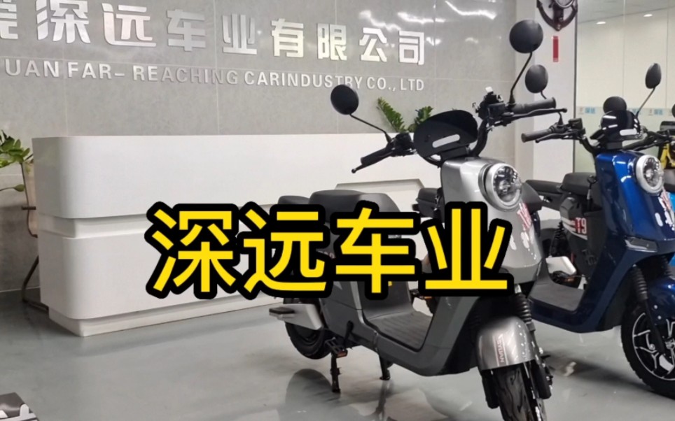 深远电动车生产基地,广东东莞