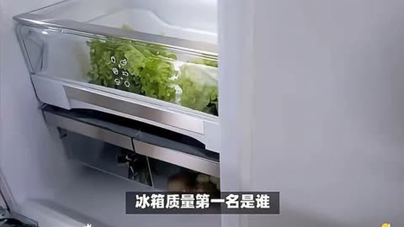 冰箱质量第一名是谁冰箱质量大比拼,海尔为何能脱颖而出