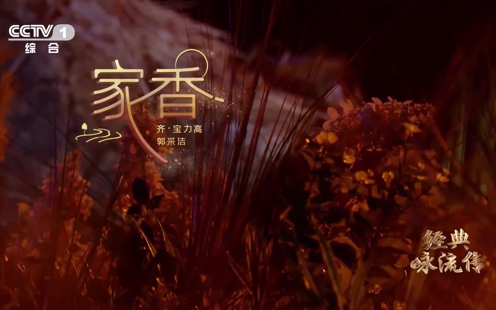 经典咏流传《家香》 齐·宝力高 郭采洁 1080P超清重制版