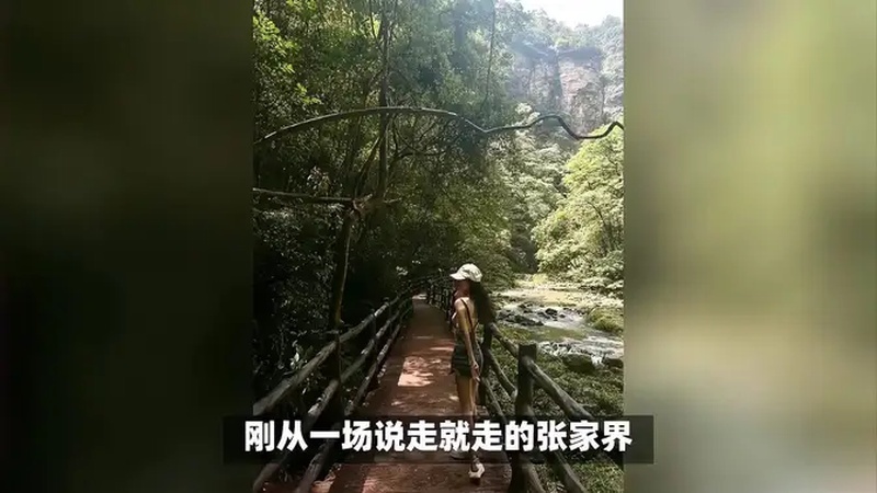 张家界深度游,这些景点你都去过了吗4天时间带你玩转张家界