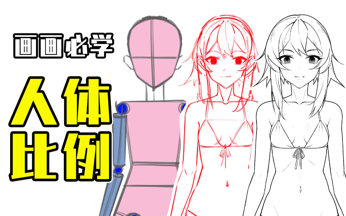 搞不懂比例怎么画人体?这个新手向比例画法看完就会! 绘画学习|板绘...