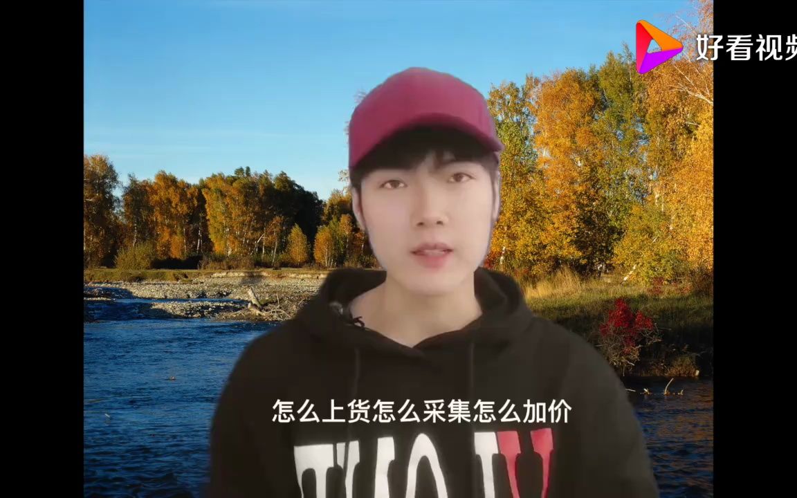 京东无货源模式靠谱吗,京东店群采集软件下载,科技,移动互联网,好看视频