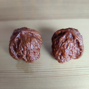 释放的菜菜 