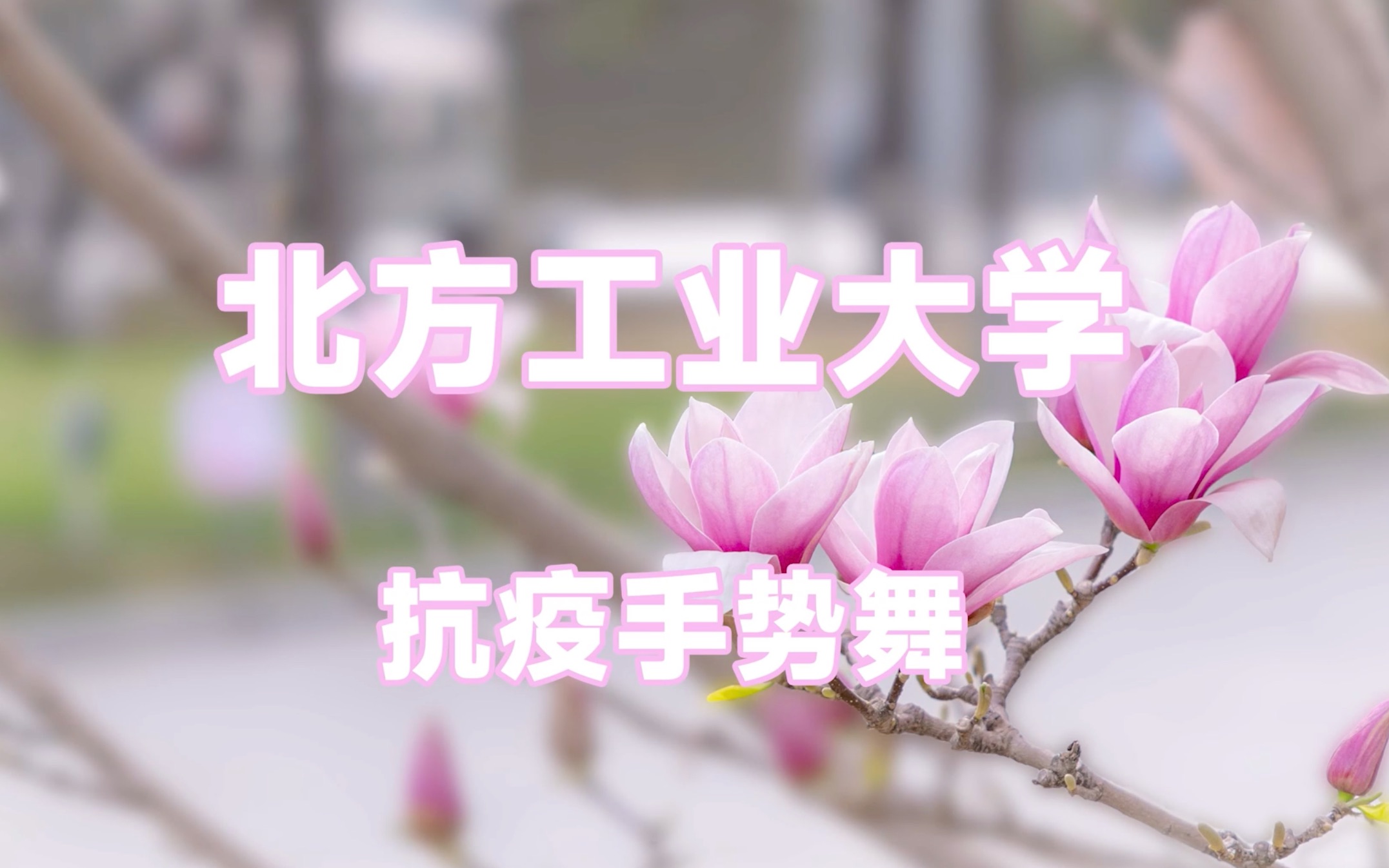 【携手抗疫 静待花开】北方工业大学《燎原四方》抗疫手势舞