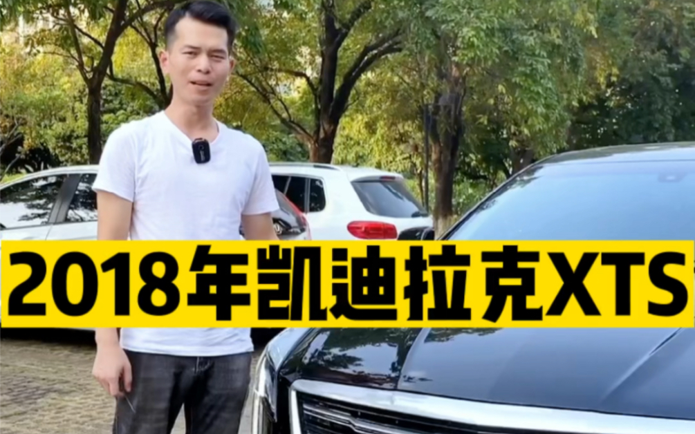 凯迪拉克不拉客,只拉美眉和模特-2018年凯迪拉克XTS-东莞二手车-...