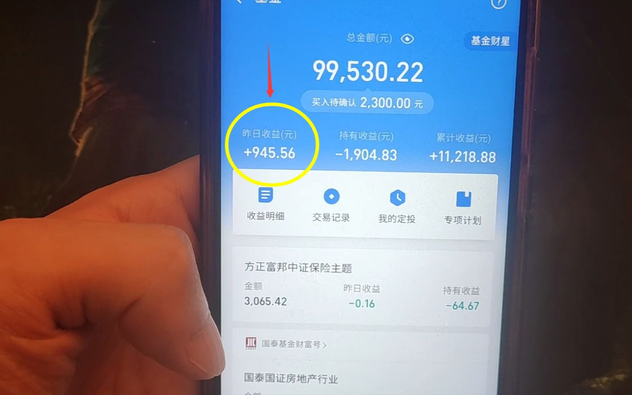 昨天支付宝基金理财收益945 同样是农业基金净值估算差距怎么这么大