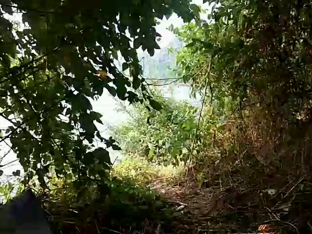 生命本来就是用来浪费的,只不过区别在于浪费方式罢了
