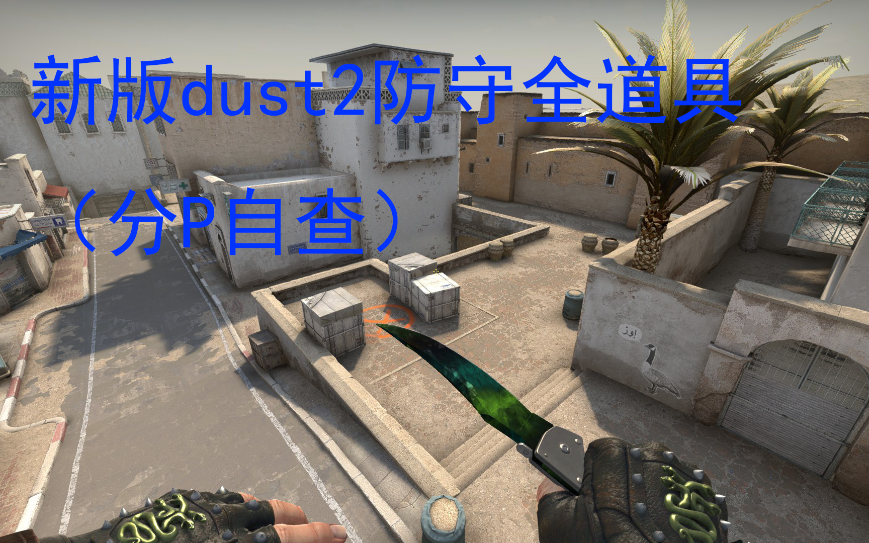 【csgo】2022新版沙二 dust2 CT防守全道具分p自查 128tick