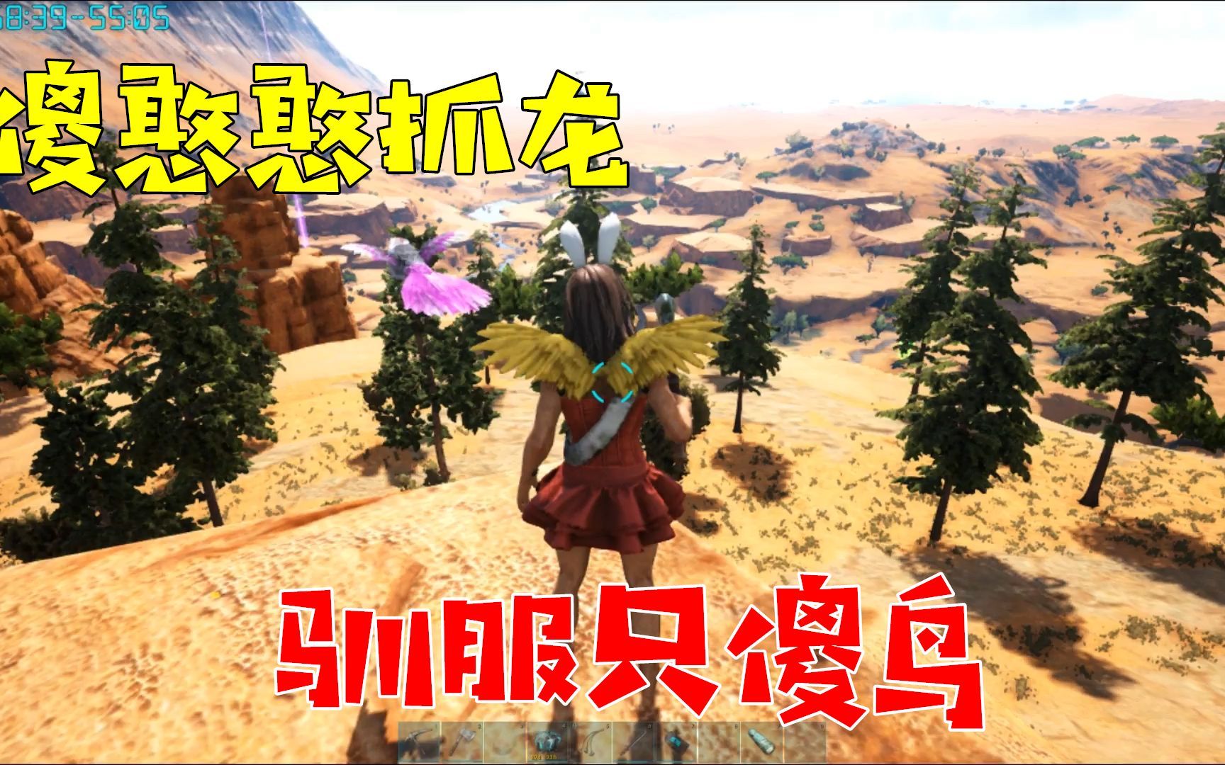 方舟生存进化12:傻憨憨抓龙,暗墨多米抓到个傻鸟飞行姿势笑死人