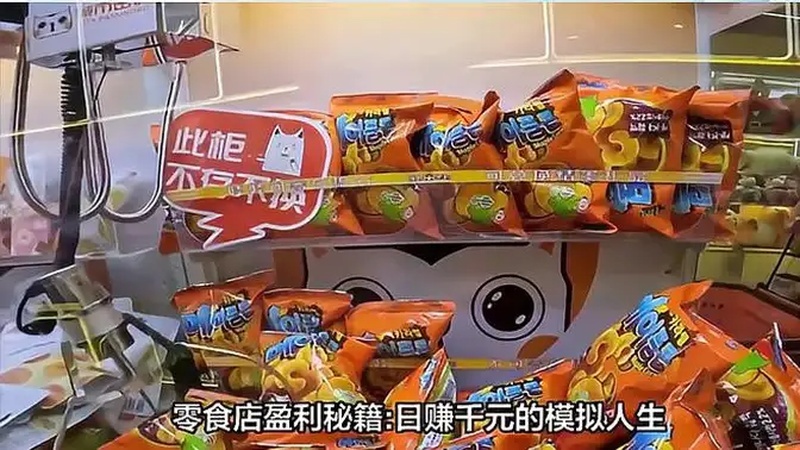 零食店盈利秘籍:日赚千元的模拟人生