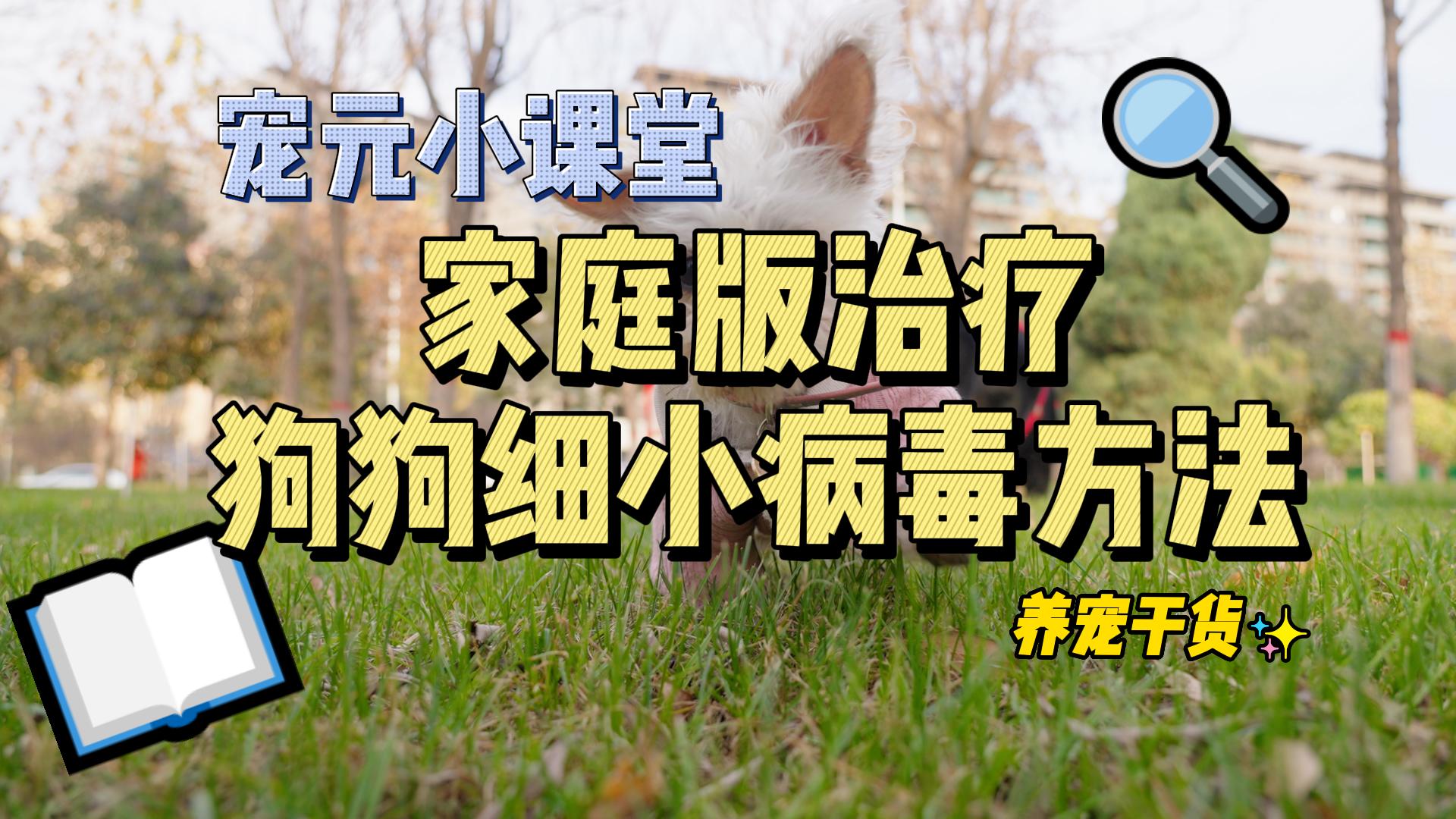 家庭版治疗狗狗细小病毒方法