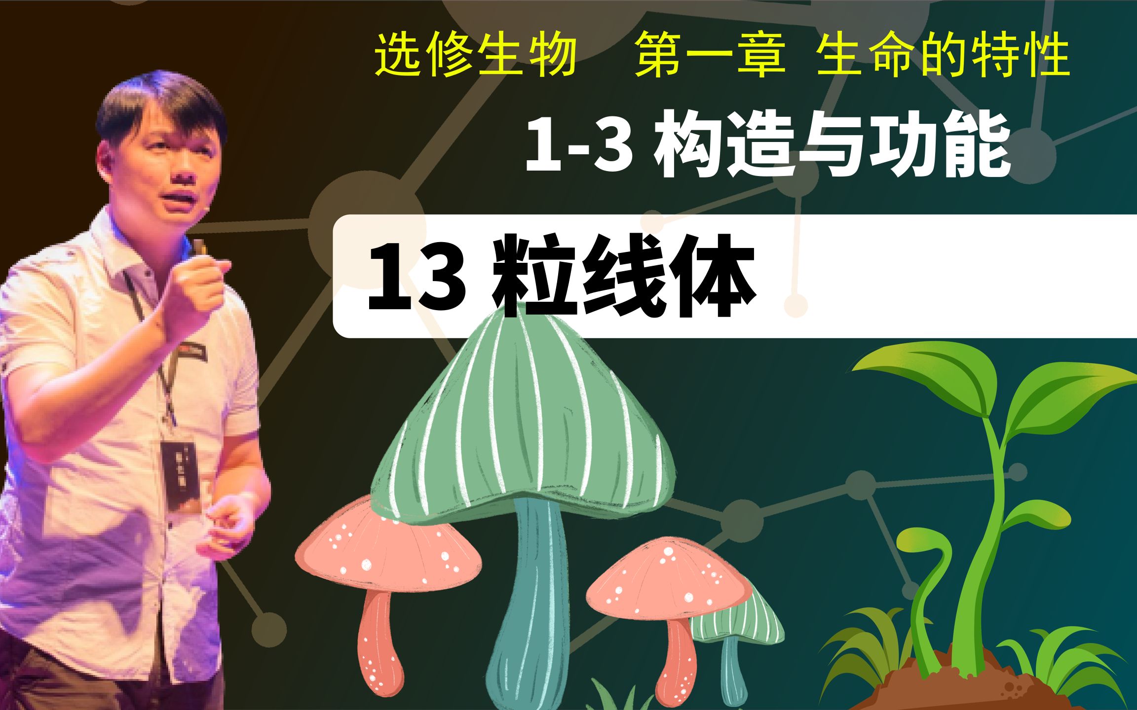 选修生物1-3.13 线粒体