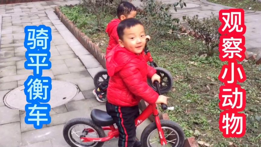 双胞胎小哥俩,周末欢度快乐时光,一边骑平衡车一边观察小动物。