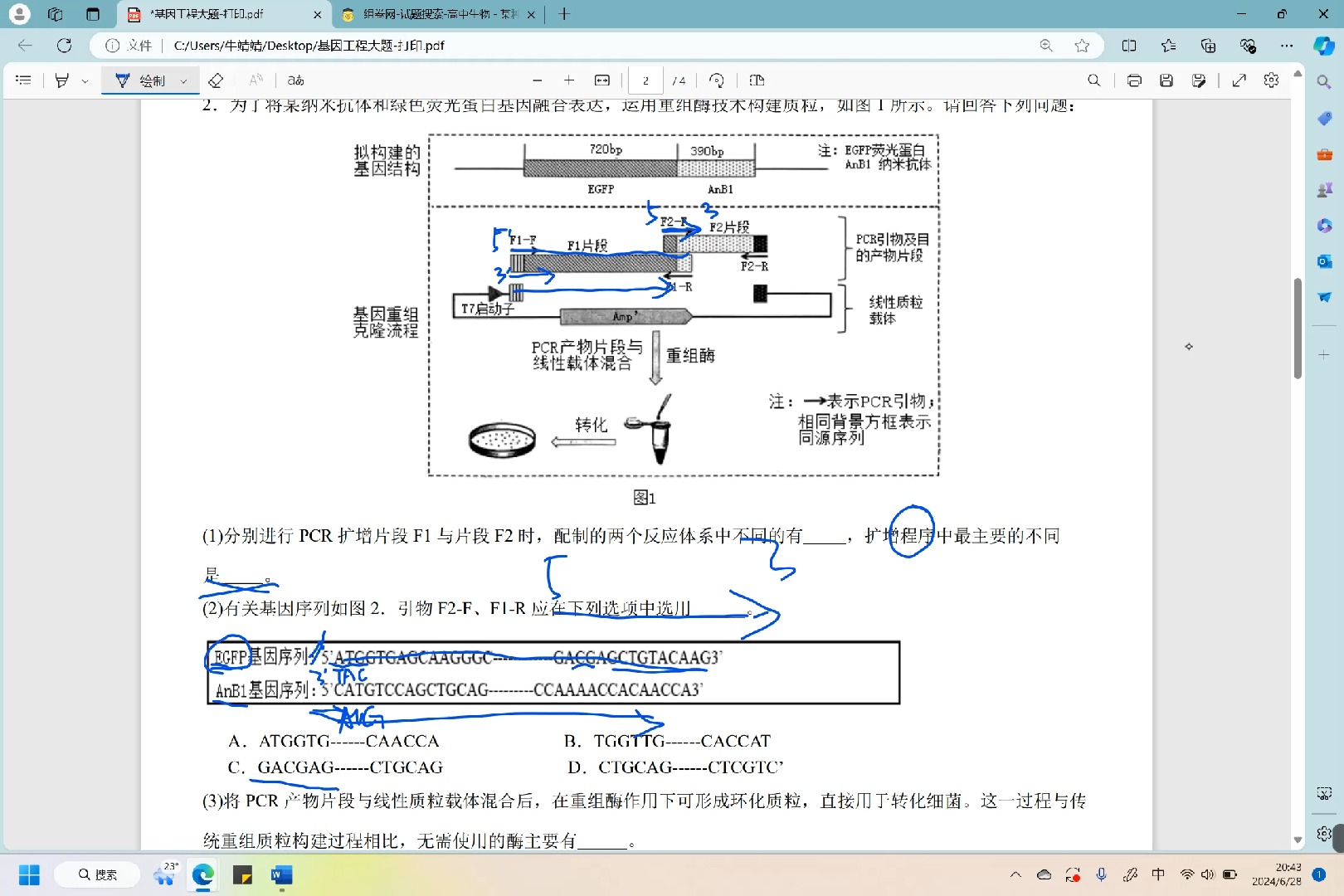 ...和绿色荧光蛋白基因融合表达,运用重组酶技术构建质粒,如图1所示。