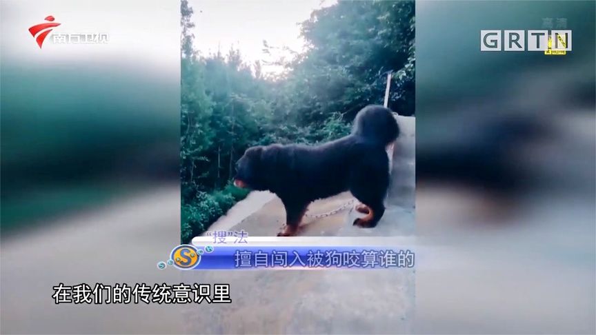 擅闯私人地方被狗咬,狗主人需要负责吗?听律师详解|城事特搜