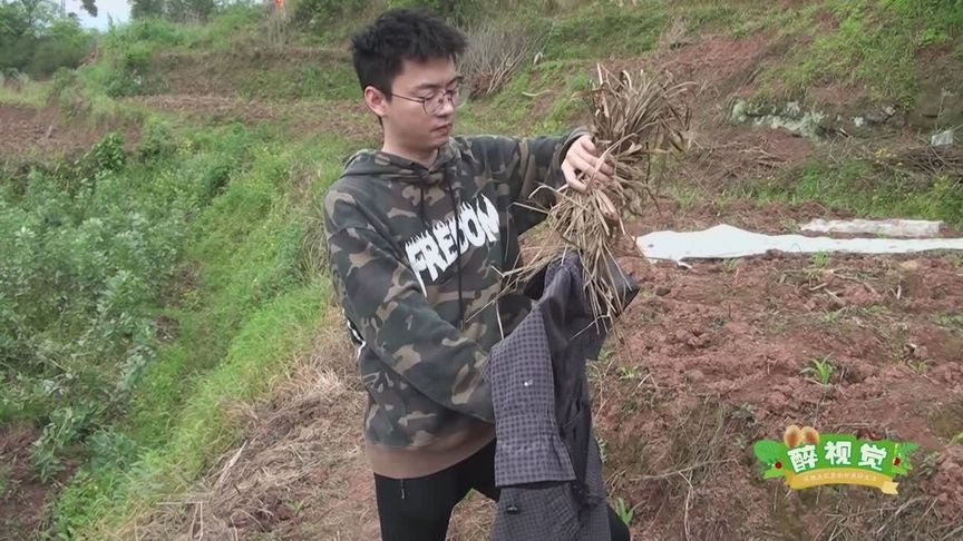 小伙用废旧衣物制作稻草人,制作方法还挺简单,一起来见识下!