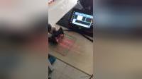 C扫.mp4
