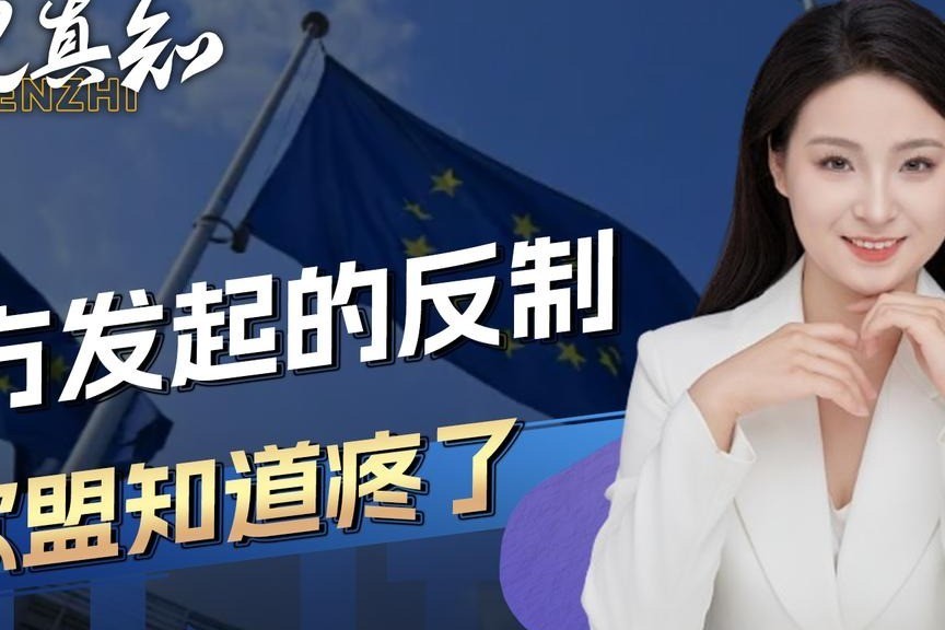 不再对华强硬?中国代表赴欧谈判,欧盟态度软化,下调关税税率