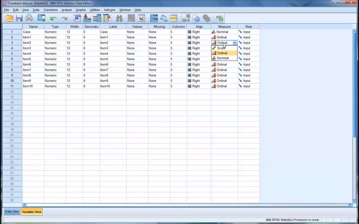 Calculating and Interpreting Cronbach's Alpha Using SPSS