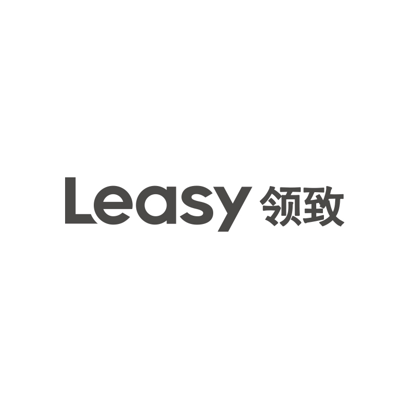 Leasy领致 