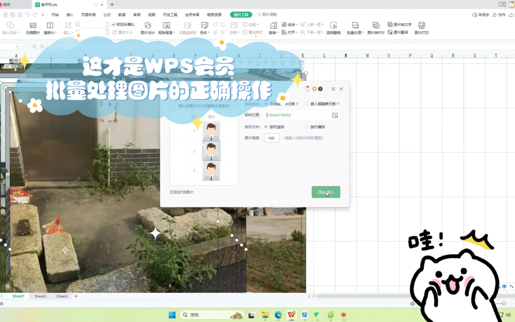 这才是WPS会员批量处理图片的正确操作,千万不要浪费了!我学了好久